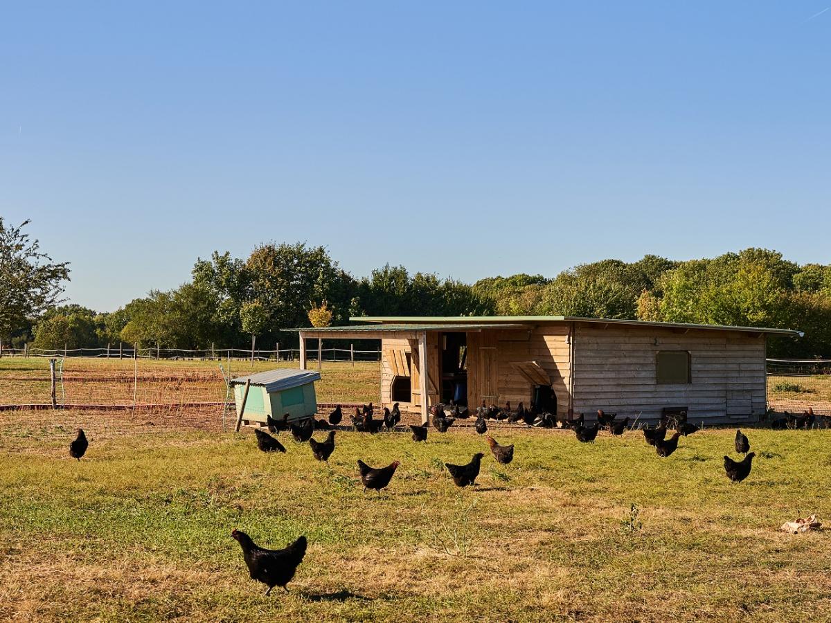 Ferme de Charles | Manger Local à Paris Saclay