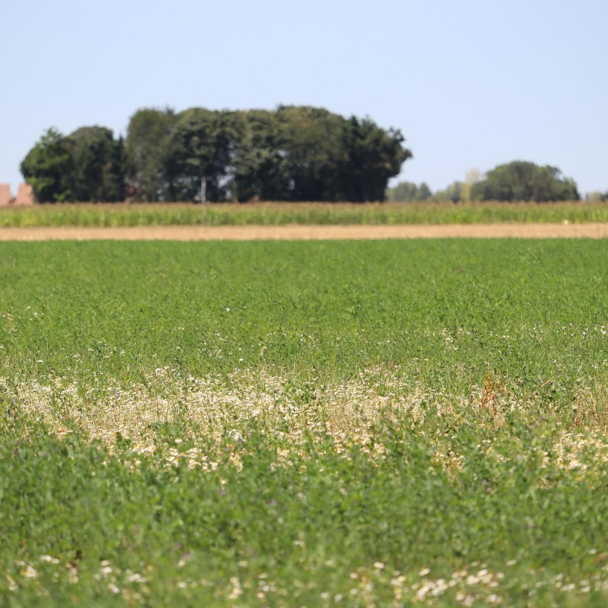 Arvalis – Institut du végétal | Manger Local à Paris Saclay